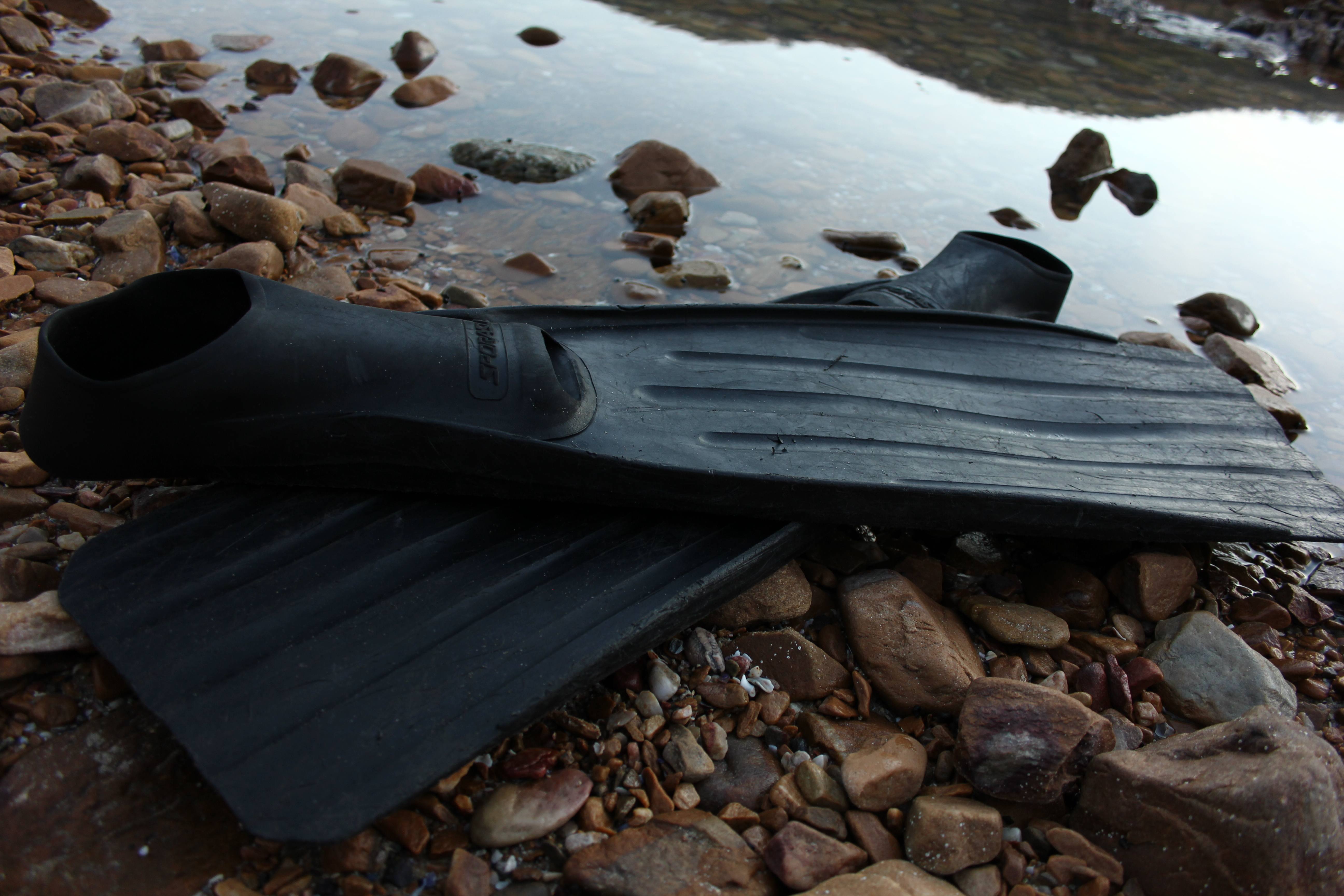 Best Novice Freediving Fins - Apnealogy.com